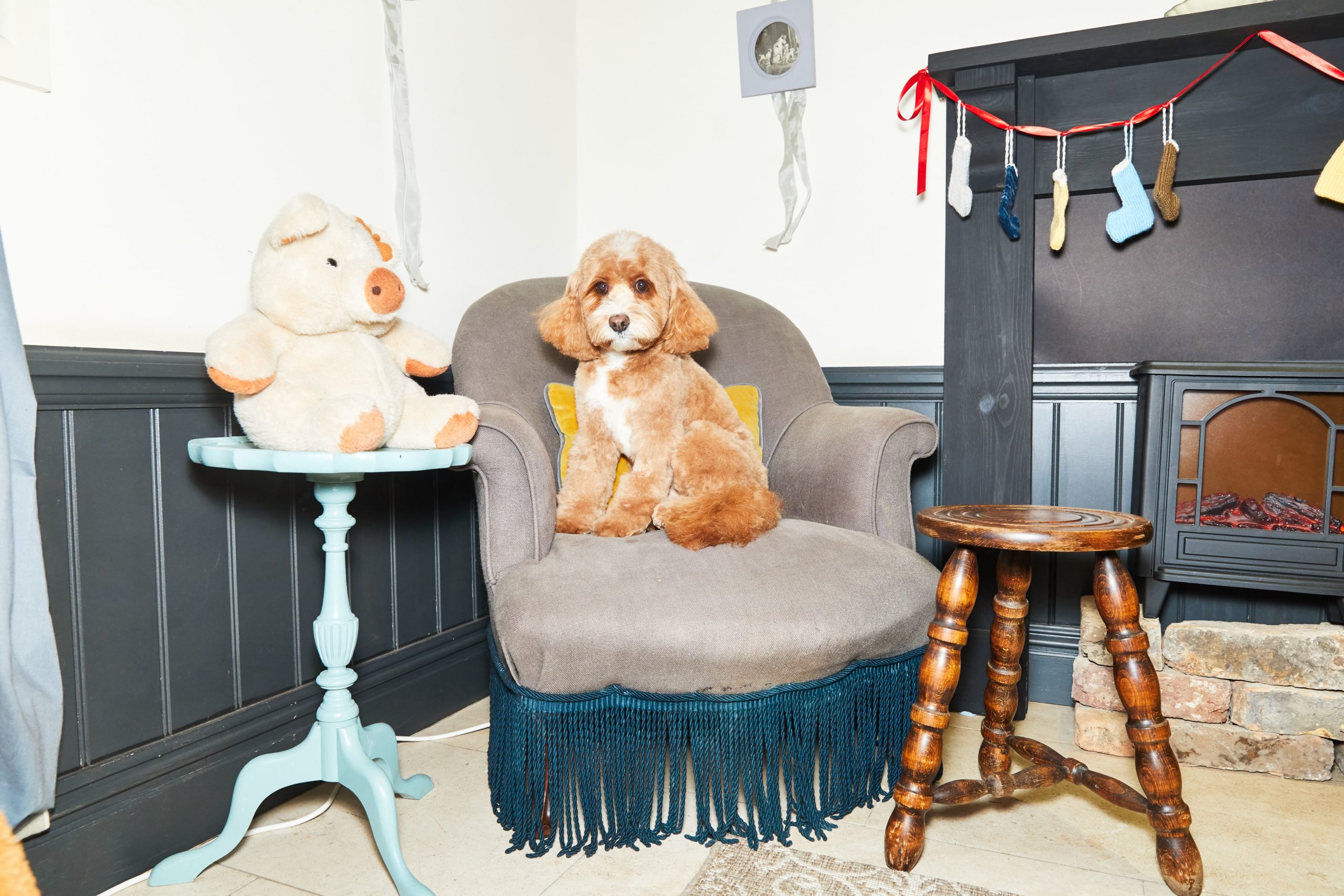 A Dog's Eye View of London: Guide to the Best Places - Argos & Artemis