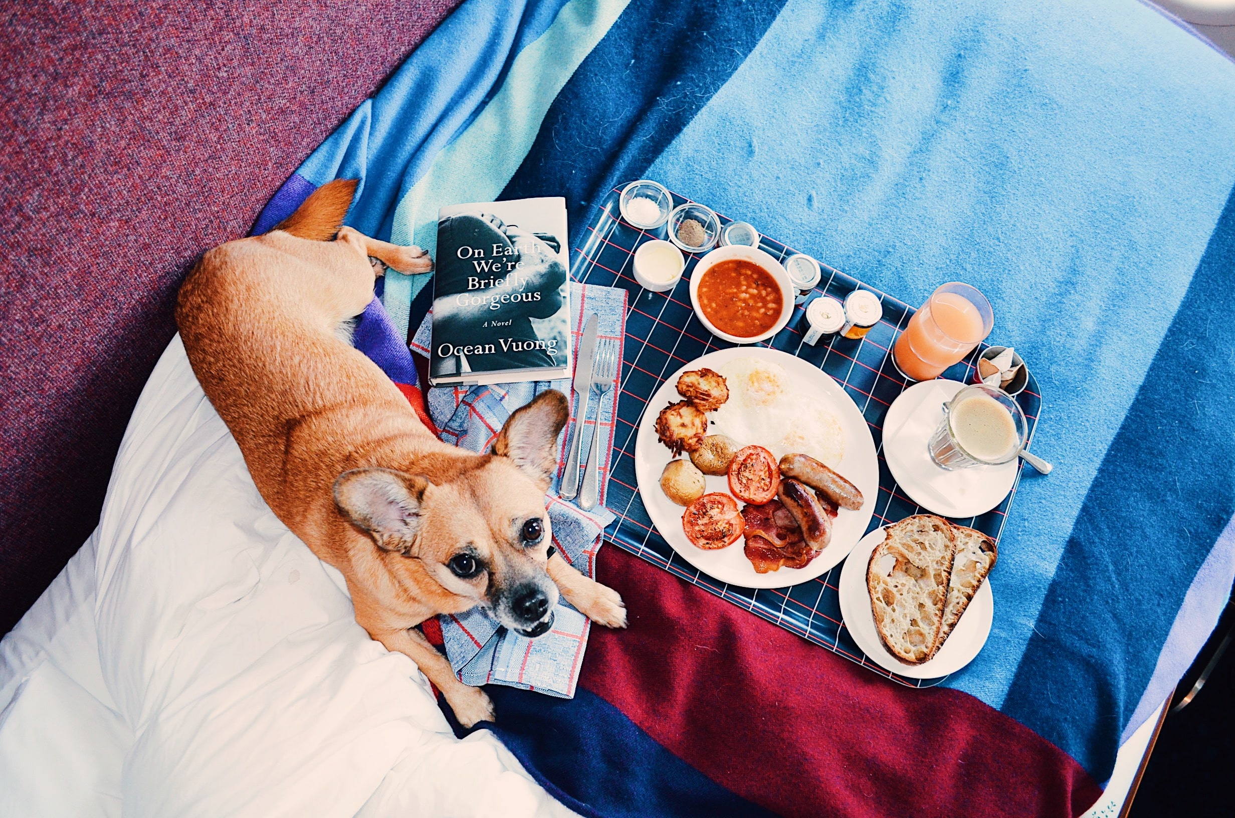 A Dog's Eye View of London: Guide to the Best Places - Argos & Artemis