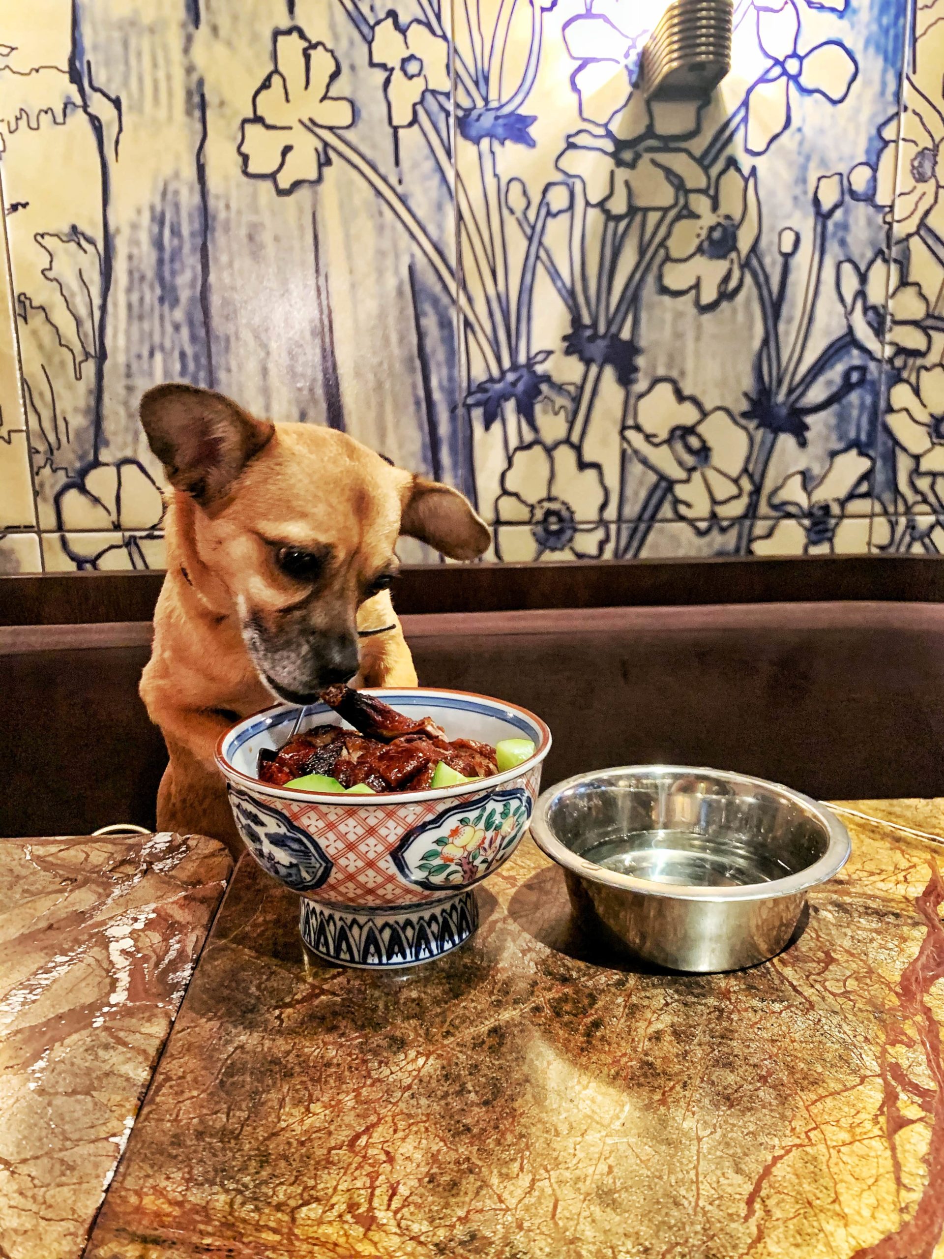 A Dog's Eye View of London: Guide to the Best Places - Argos & Artemis